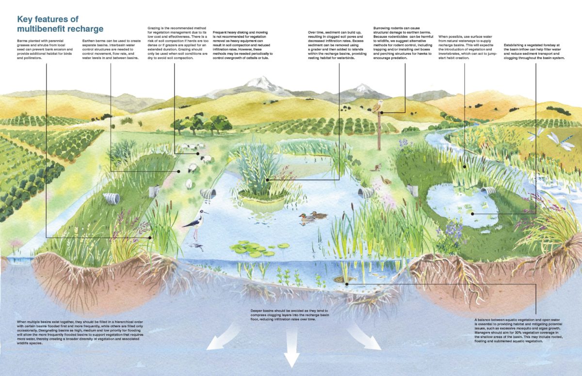 Groundwater Recharge – Groundwater Exchange